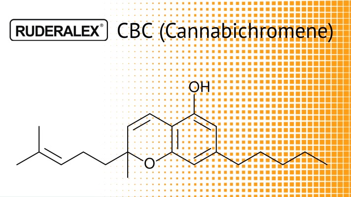 A Look At What Is The Cannabinoid CBC (Cannabichromene) – RUDERALEX® CBD UK