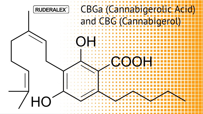 The Mother (Predecessor) (Precursor) of All Cannabinoids – CBGa ...